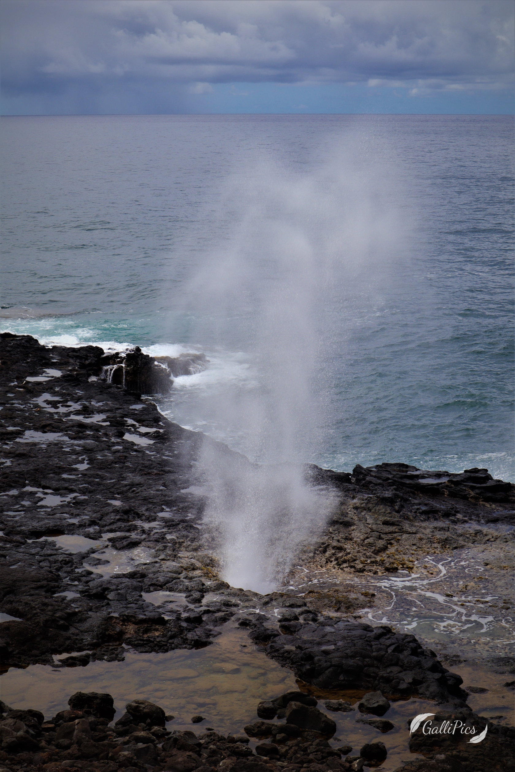 Spouting Horn and Kokee State Park – GalliPics